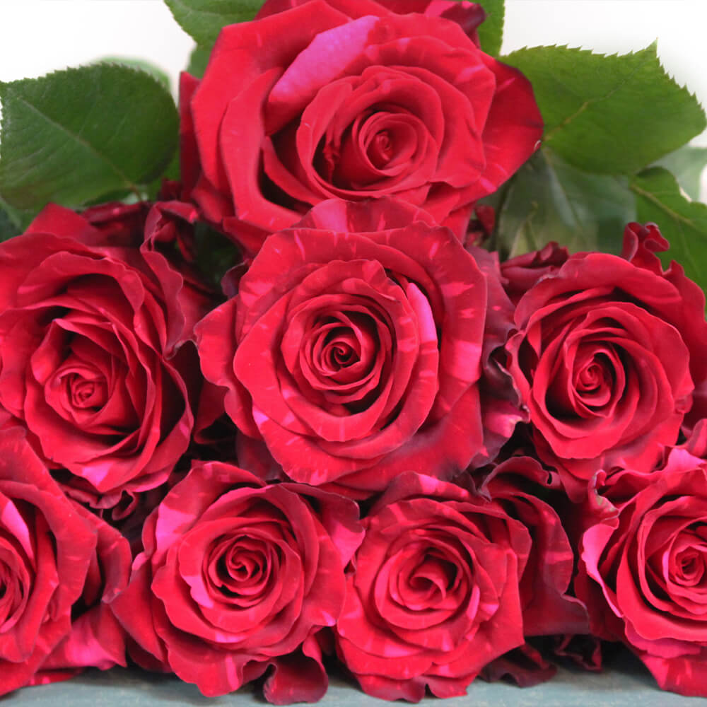 Bel Fiore Flowers